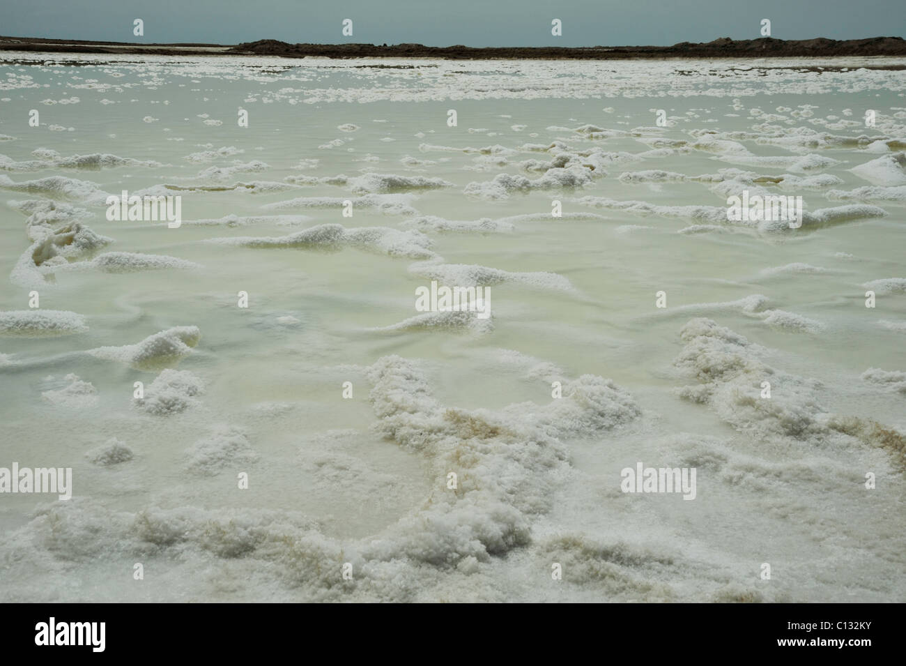 Scene of salt crystal crust formed in evaporation pans of Salt works ...