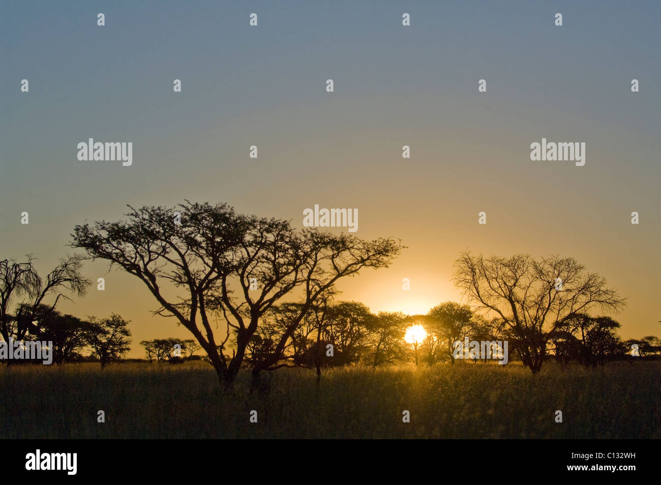 Scrubland hi-res stock photography and images - Alamy