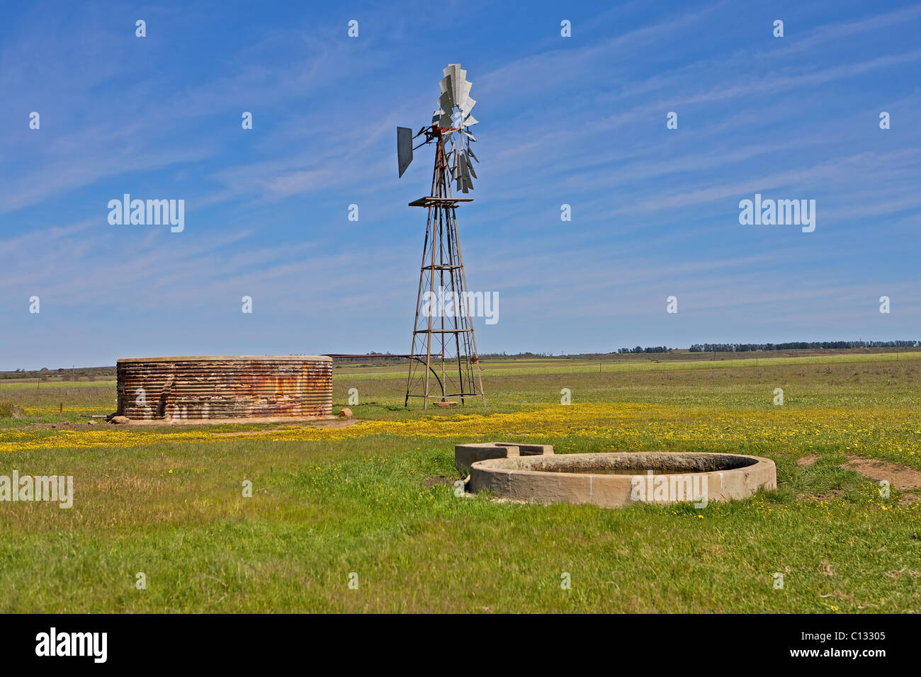 Windmill and farm dam, near Nieuwoudtville, Northern Cape Province ...
