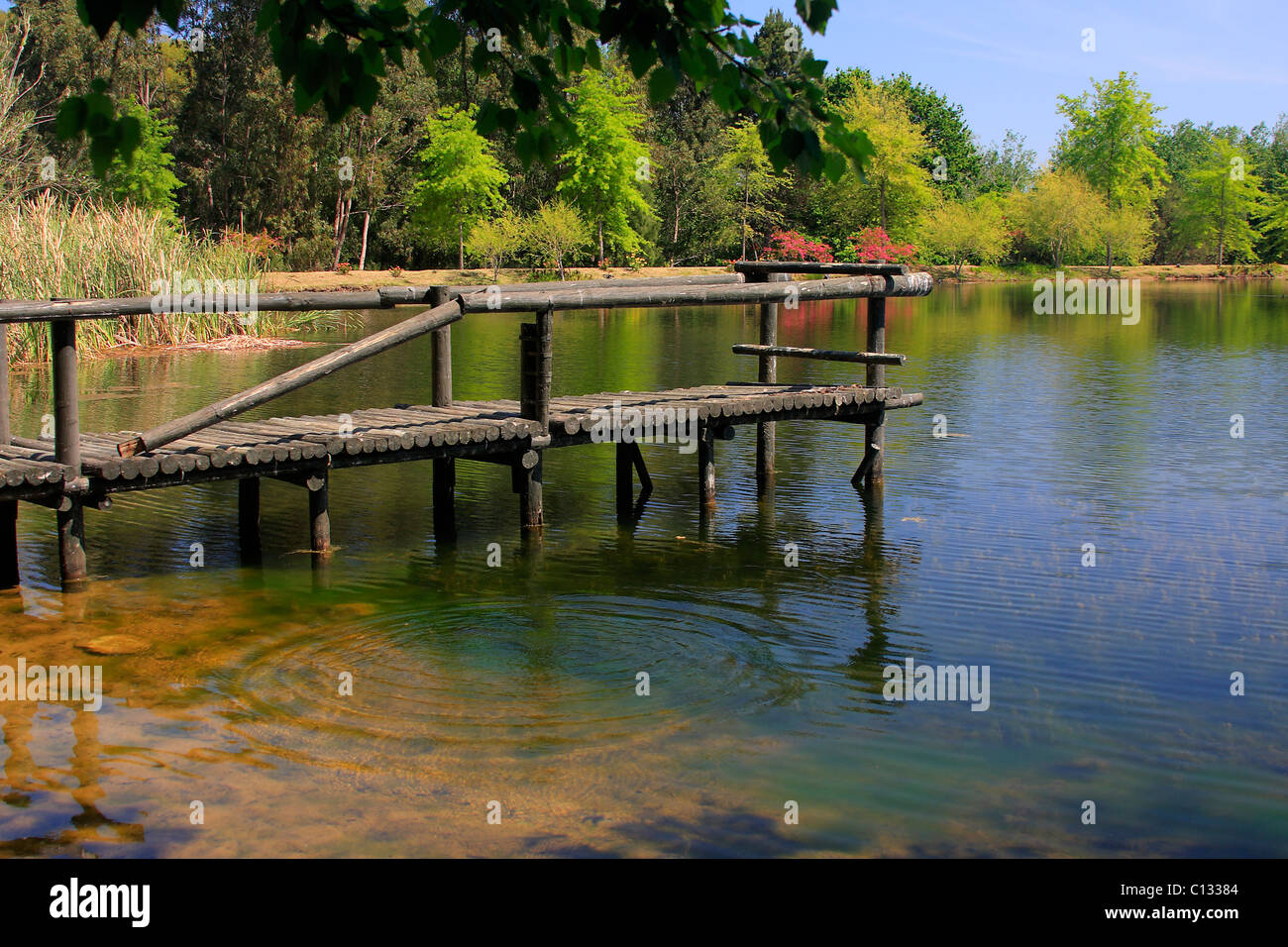 Bridge over a ditch hi-res stock photography and images - Alamy