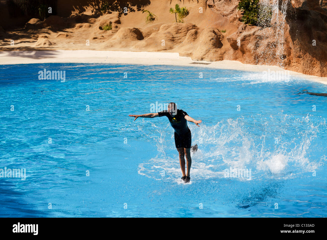 Dolphin tail stand hi-res stock photography and images - Alamy