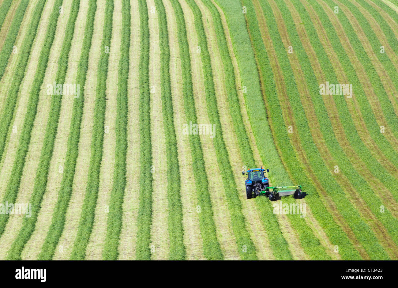 Tractor cutting grass hi-res stock photography and images - Alamy