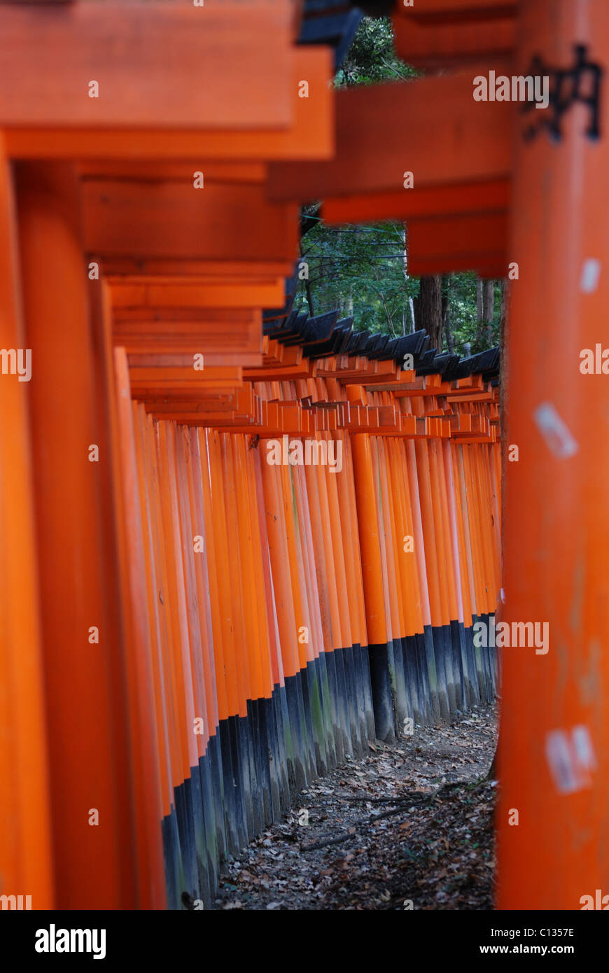 Close-up of the bright-orange torii gates at Fushimi Inari Shrine in ...