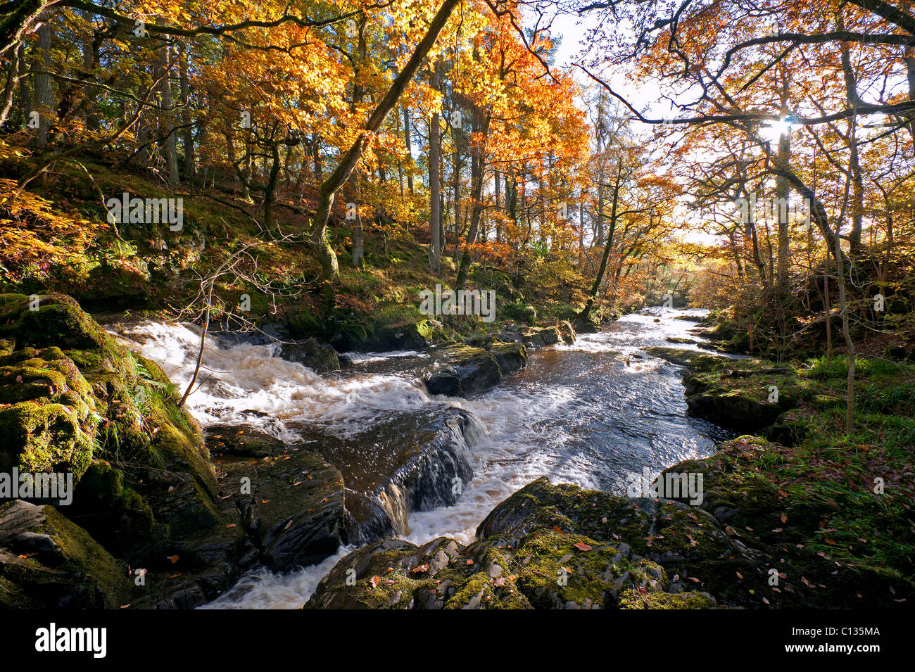 Burn of The Holy Linn near balmaclellan in autumn Stock Photo - Alamy