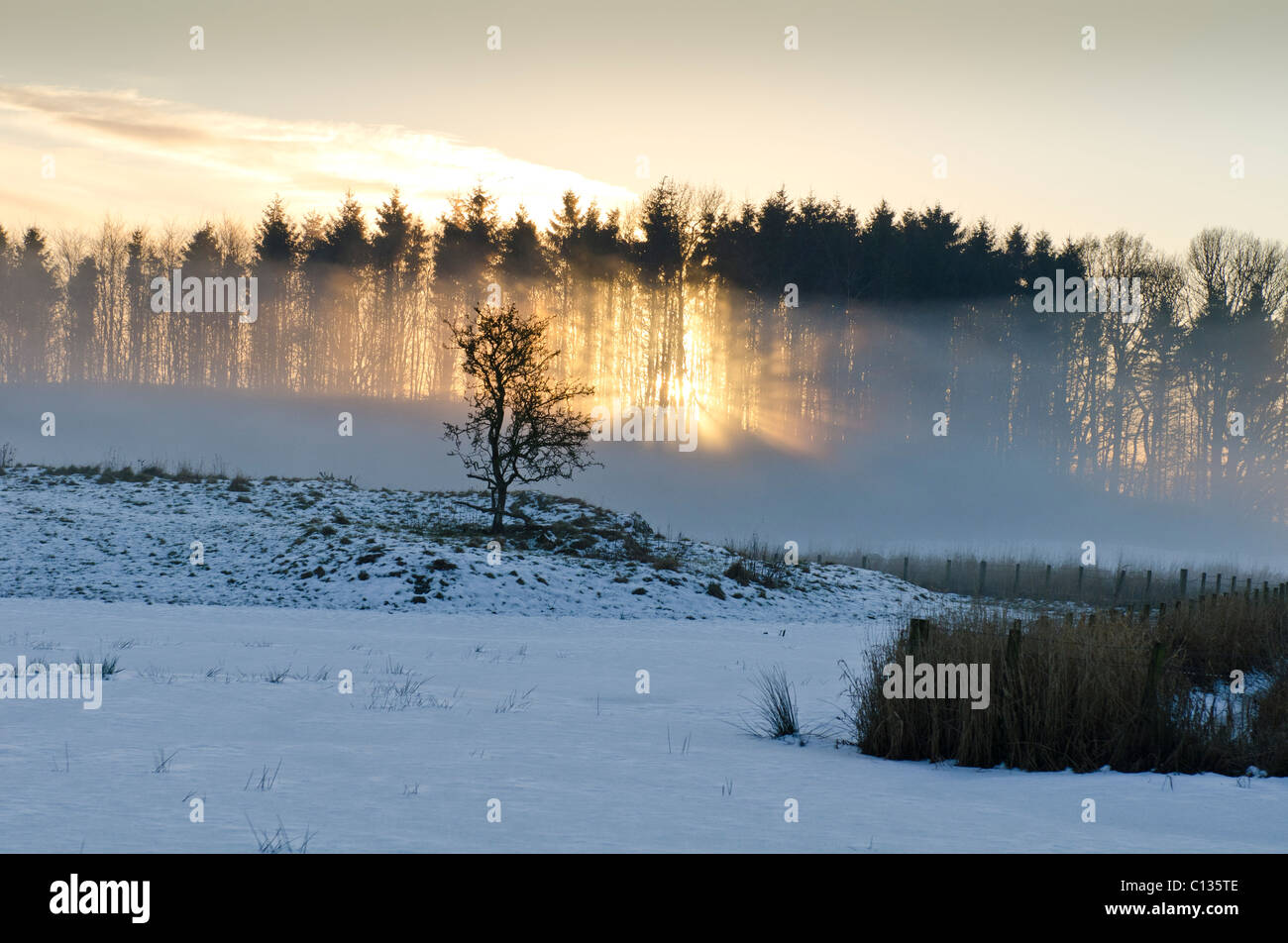 Beautiful sunset sky through frozen hi-res stock photography and images ...