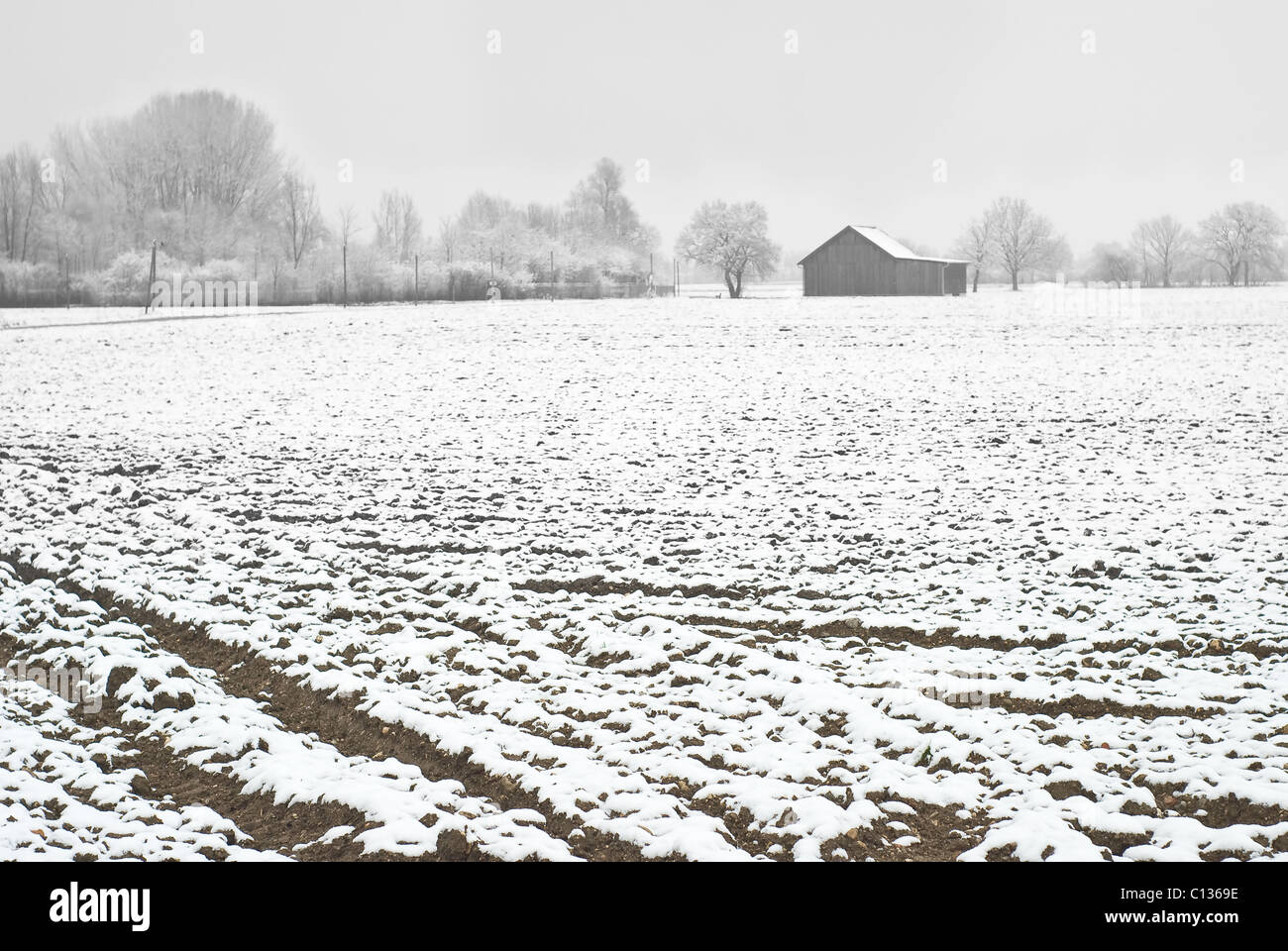 Winter Farming In Germany as Symbol of European Agricultural Stock ...