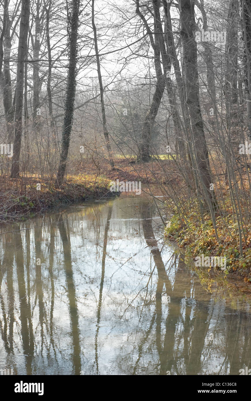 Woodland and Stream on a Early Winter Day Stock Photo - Alamy