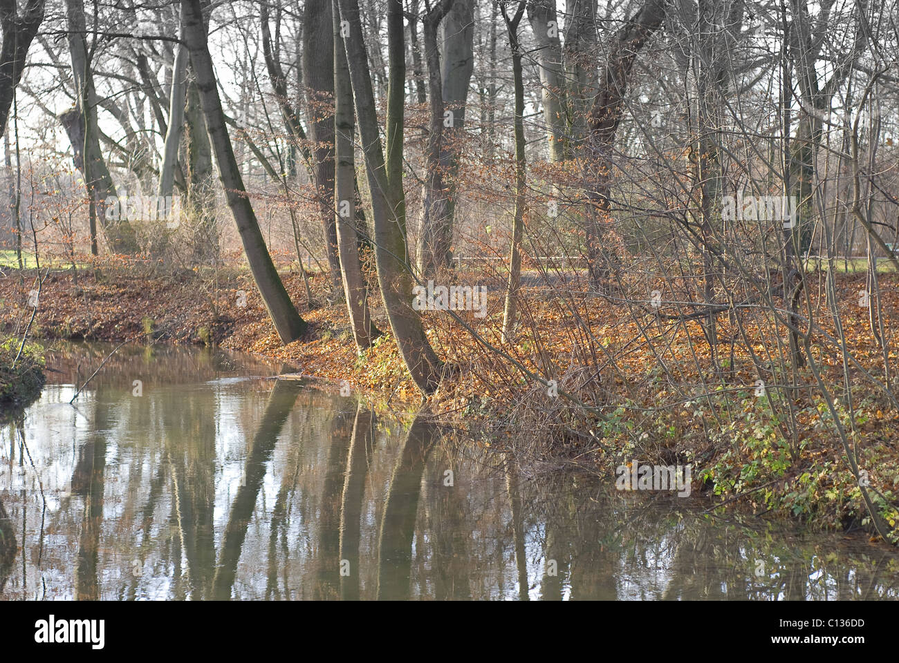 Woodland stream in early hi-res stock photography and images - Alamy
