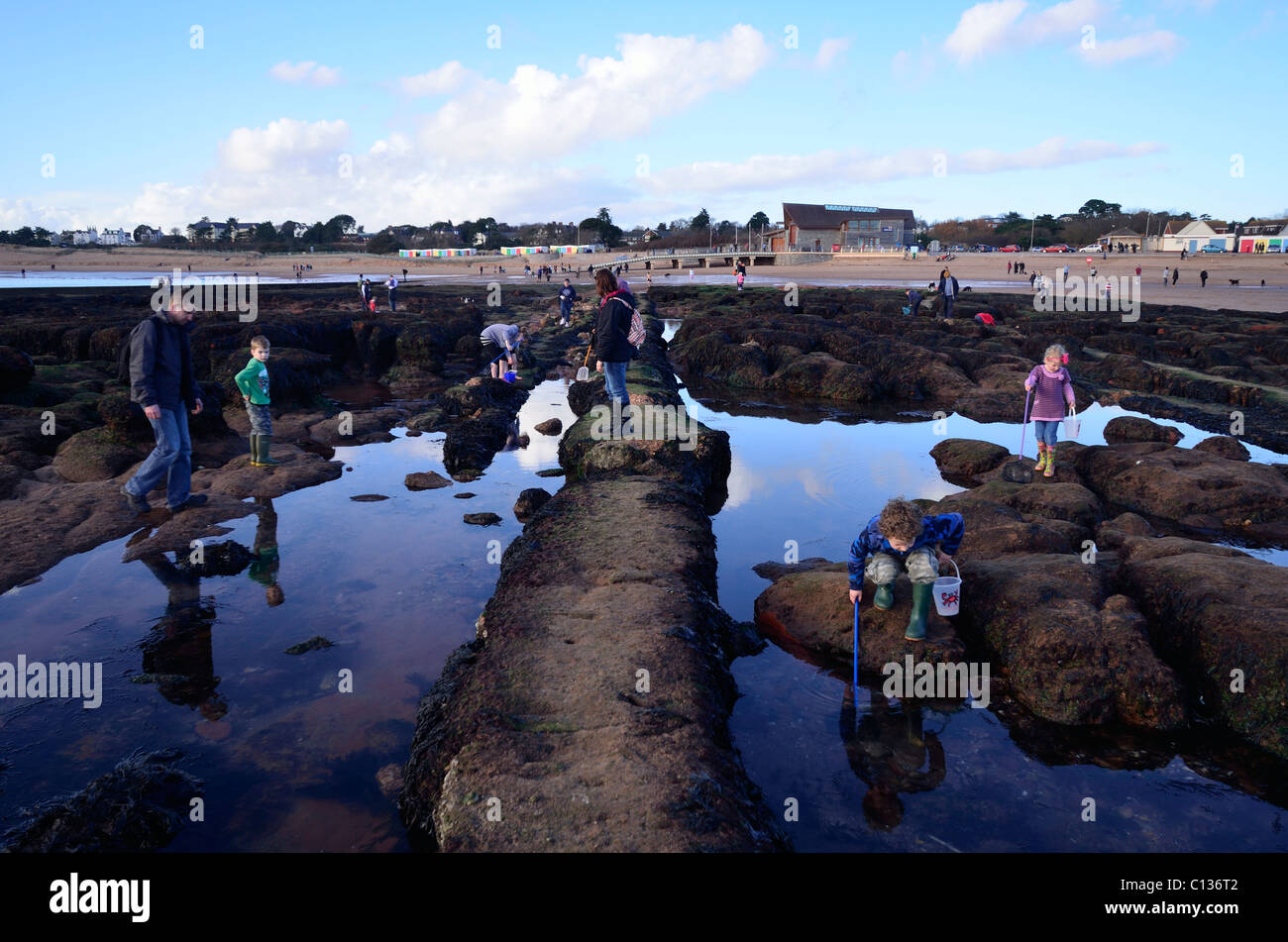 Children enjoy rock pooling on Exmouth Beaching Devon UK Stock Photo ...