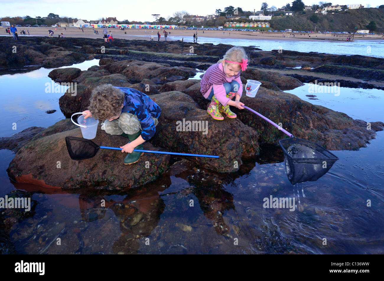 Rock Pooling Children High Resolution Stock Photography and Images - Alamy