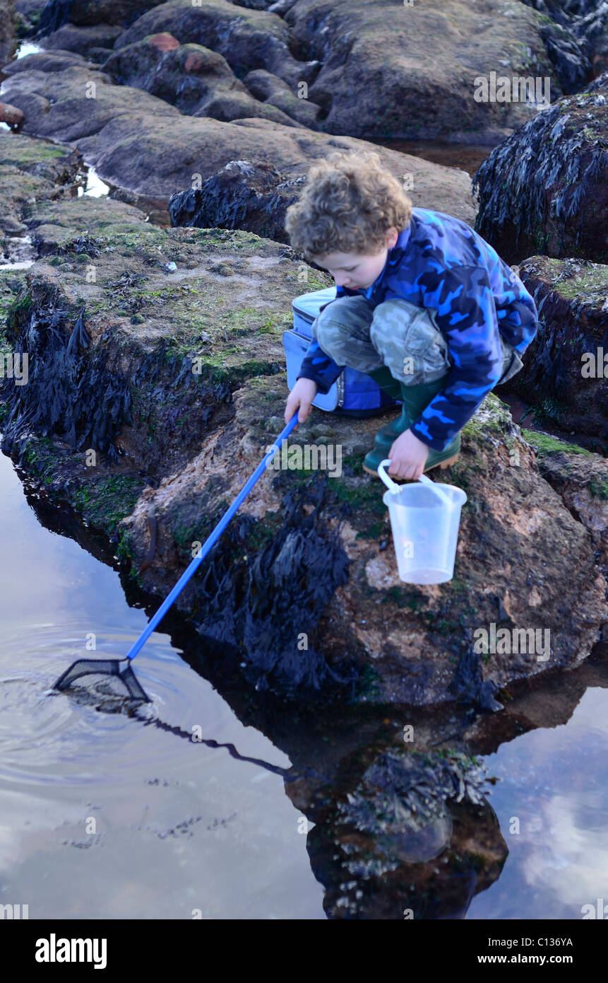 Rock Pooling Children High Resolution Stock Photography and Images - Alamy