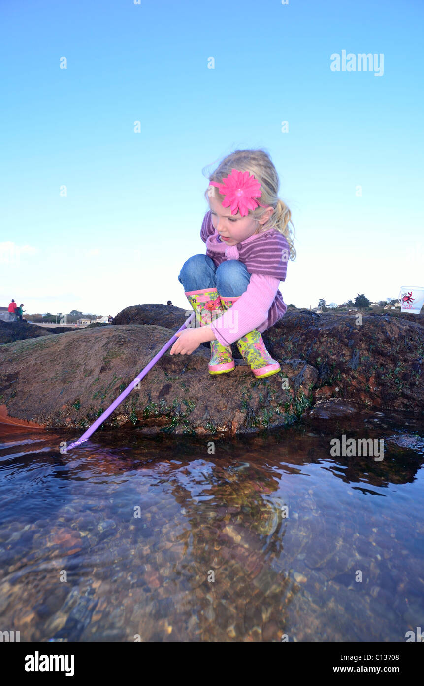 Rock Pooling Children High Resolution Stock Photography and Images - Alamy