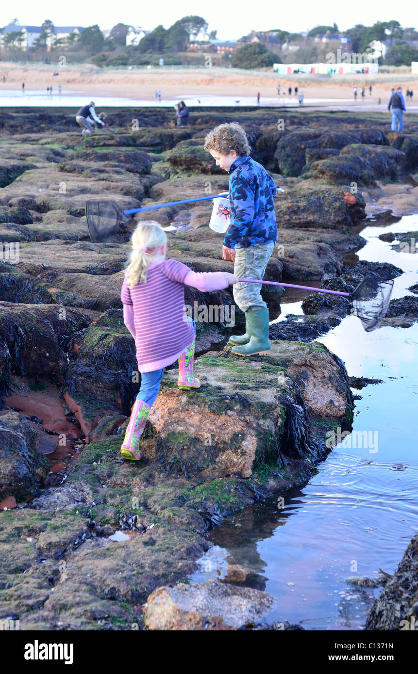 Rock Pooling Children High Resolution Stock Photography and Images - Alamy