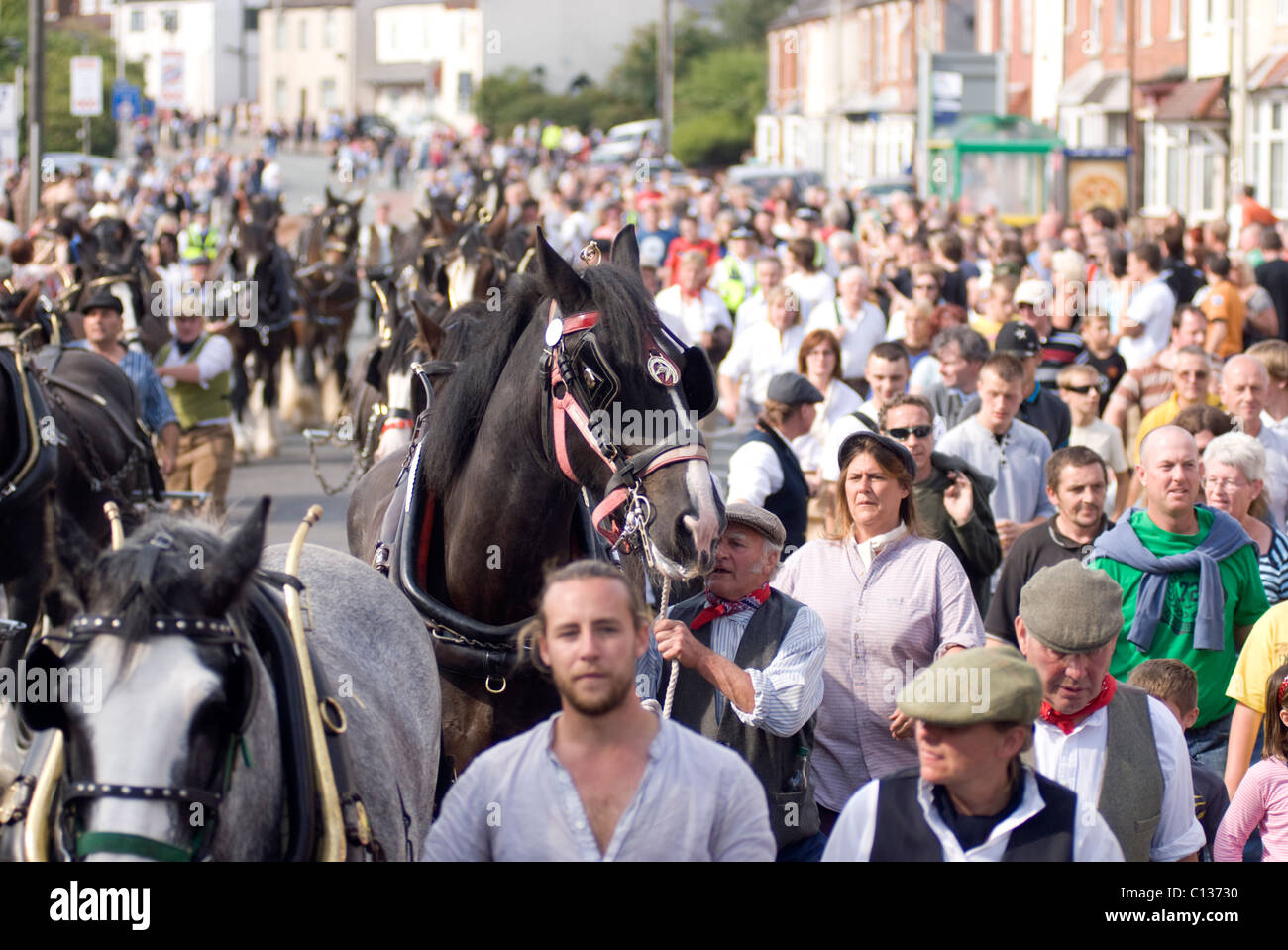 Horses in a procession hi-res stock photography and images - Alamy