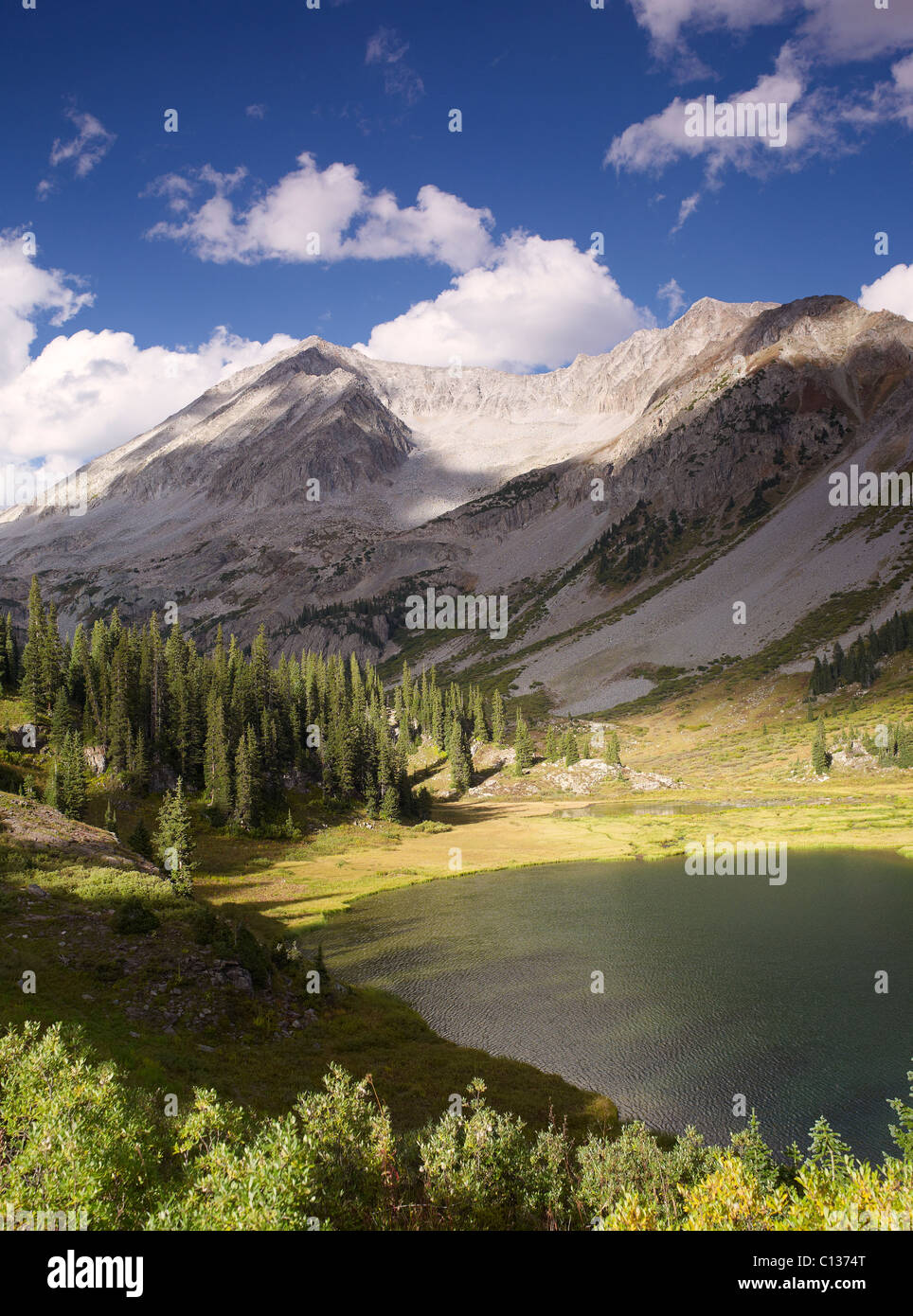 Geneva forest hi-res stock photography and images - Alamy