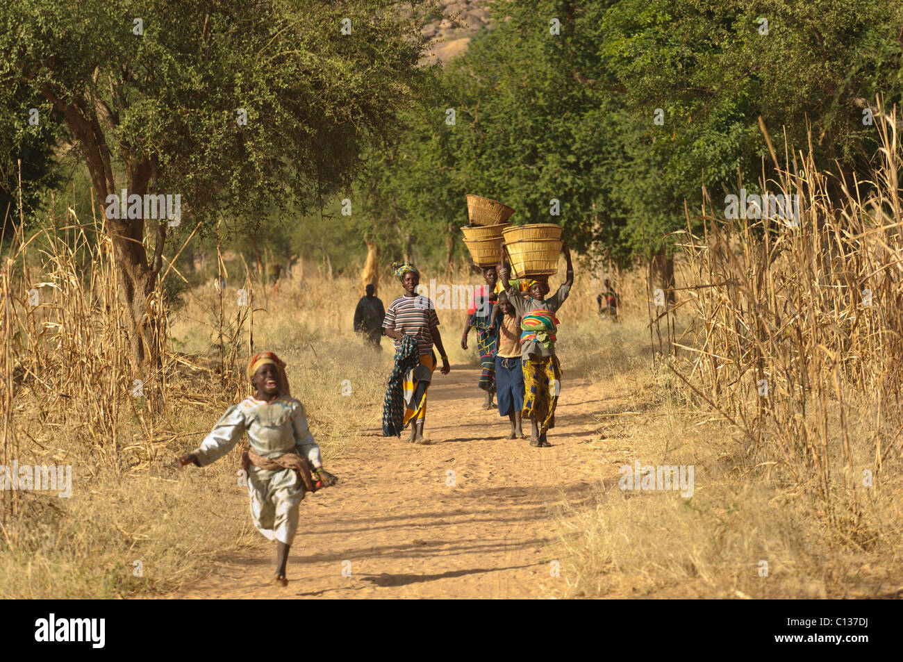 Women Millet High Resolution Stock Photography and Images - Alamy