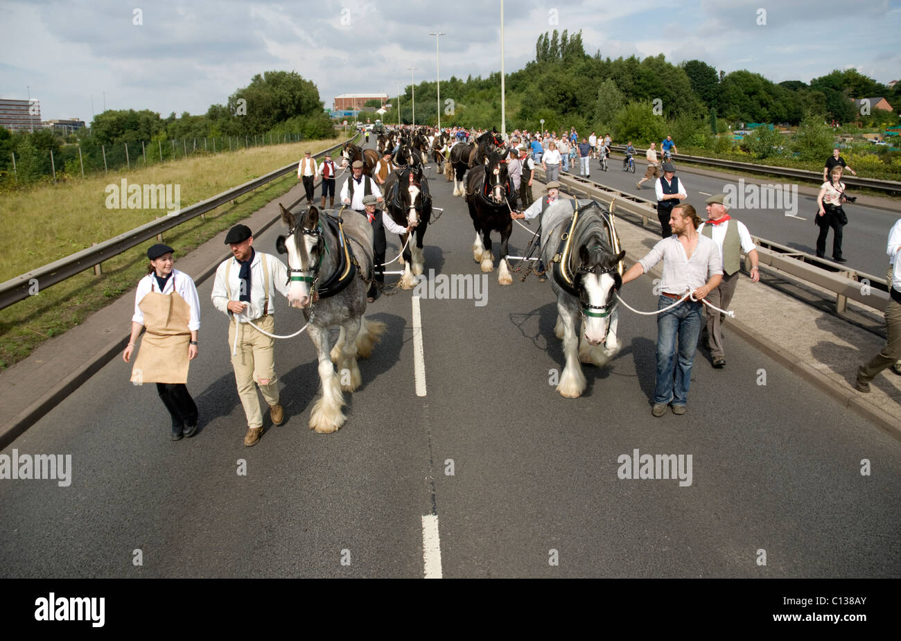 Horses in a procession hi-res stock photography and images - Alamy