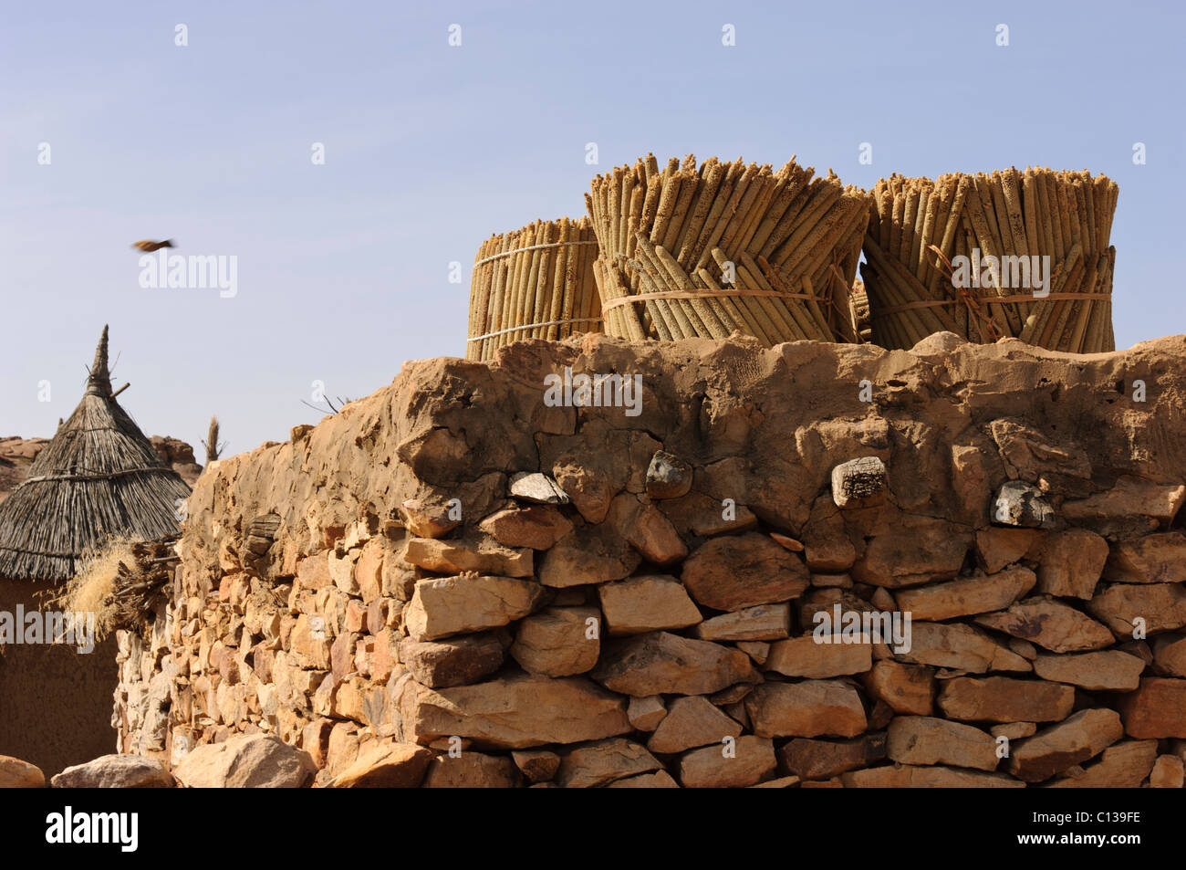 African millet hi-res stock photography and images - Alamy