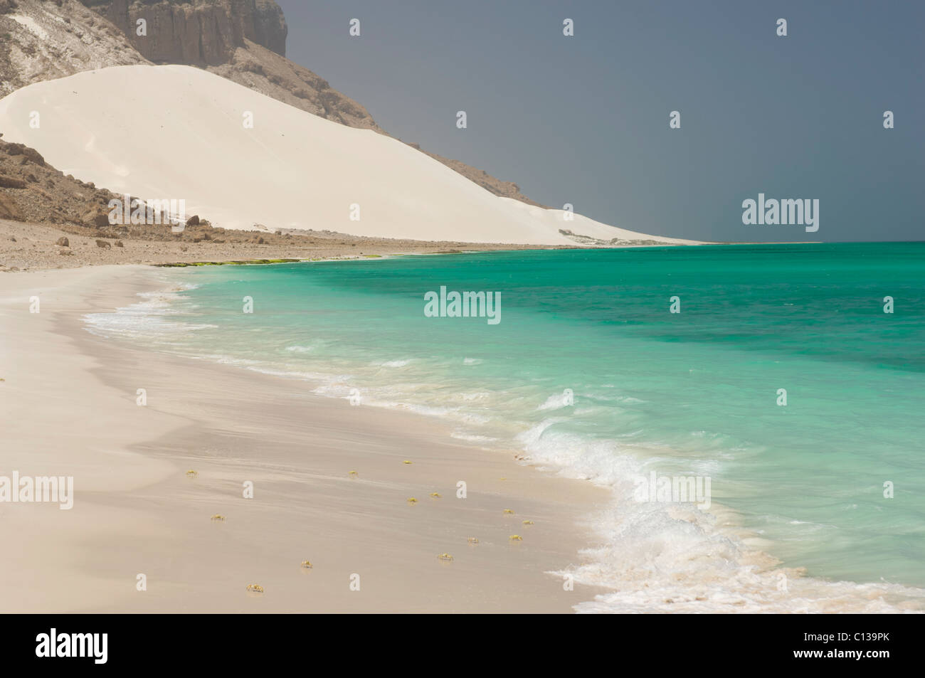 Crabs scuttling down Erher Beach, with a giant sand dune behind, Socotra, Yemen Stock Photo - Alamy