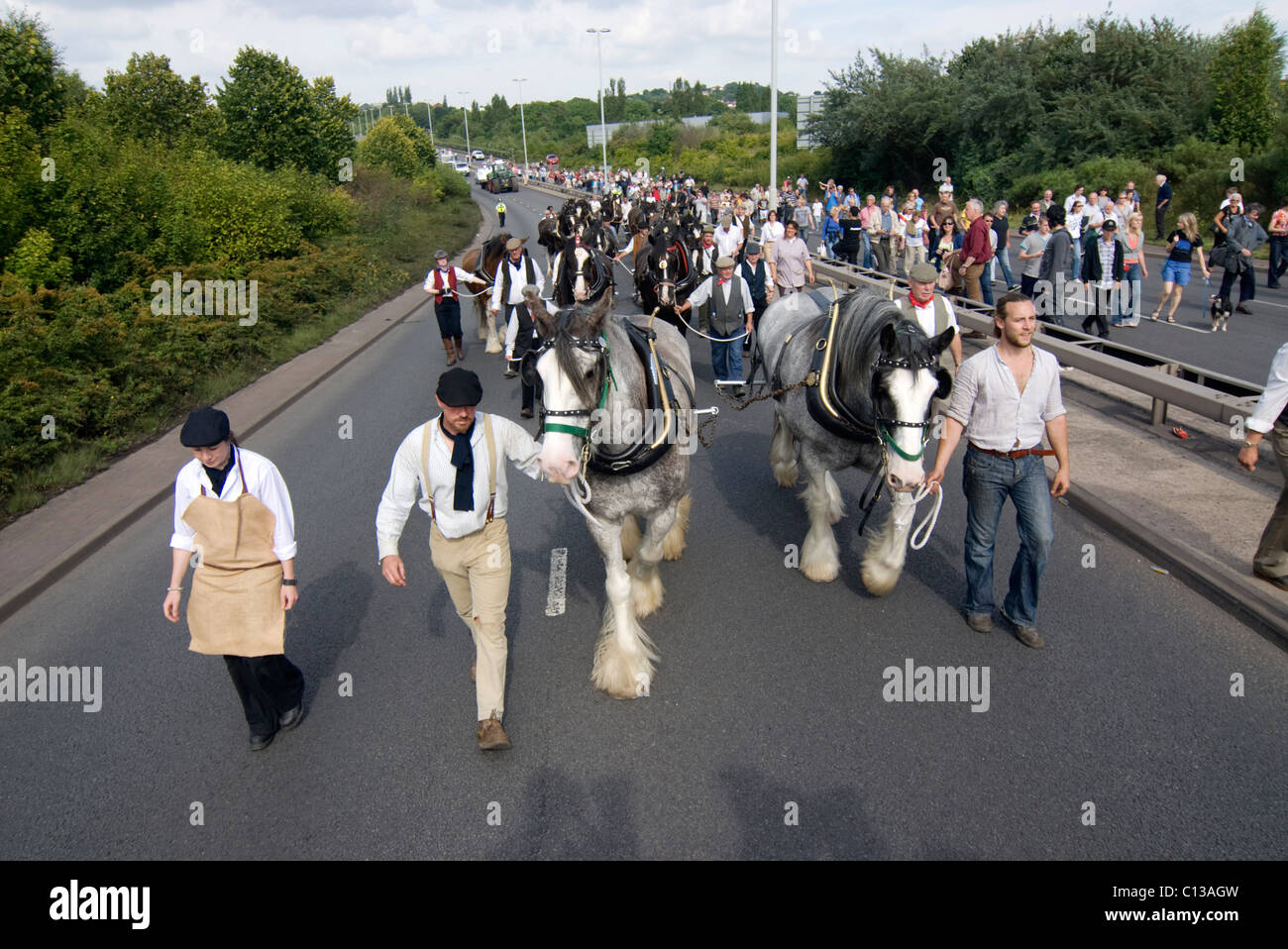 Horses in a procession hi-res stock photography and images - Alamy