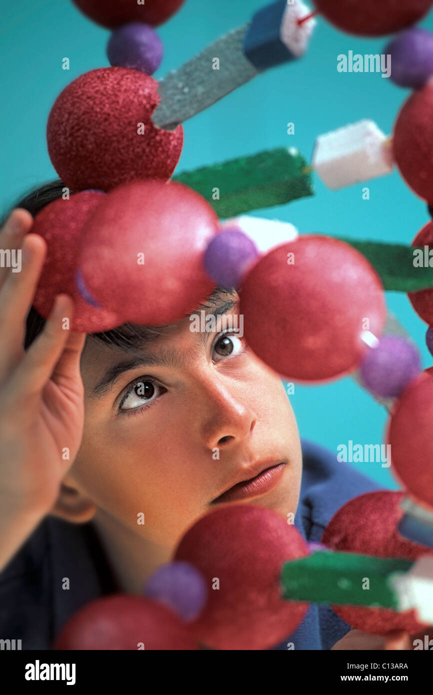Boy examining his science fair project, a molecule of DNA Stock Photo ...