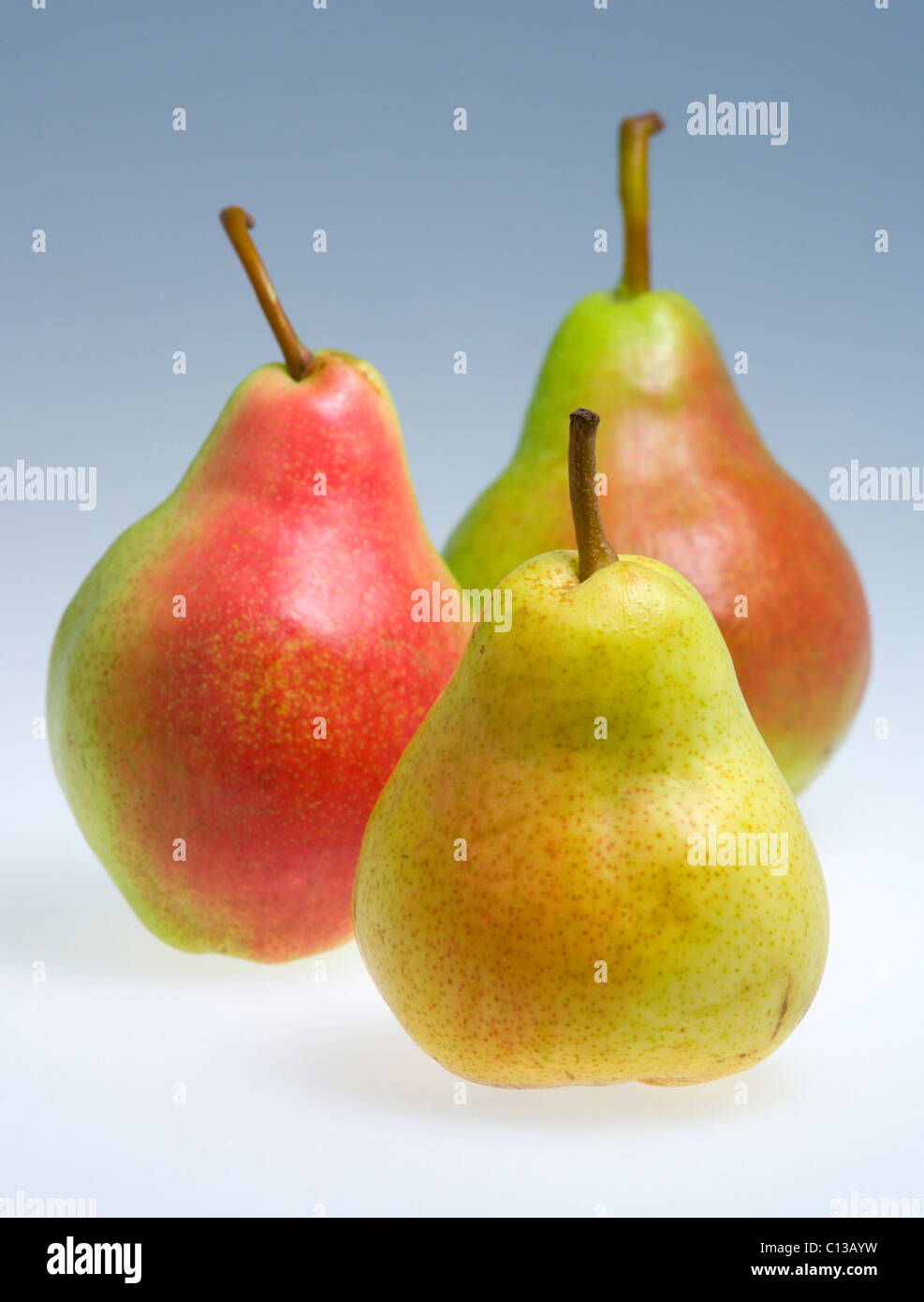 Rosemarie pear hi-res stock photography and images - Alamy