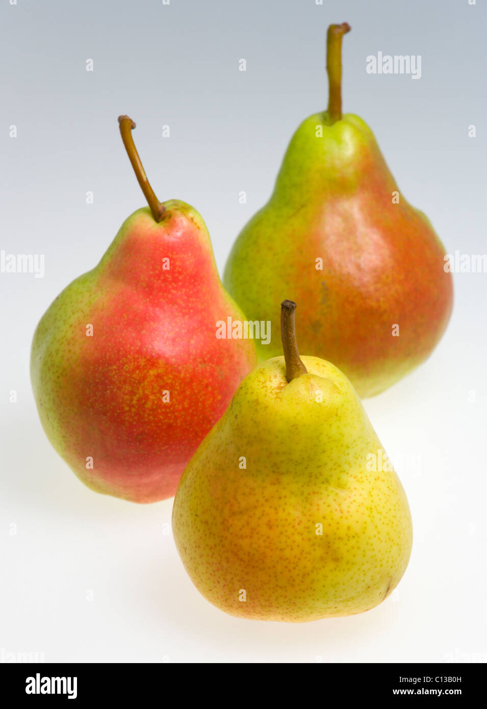 Rosemarie pear hi-res stock photography and images - Alamy
