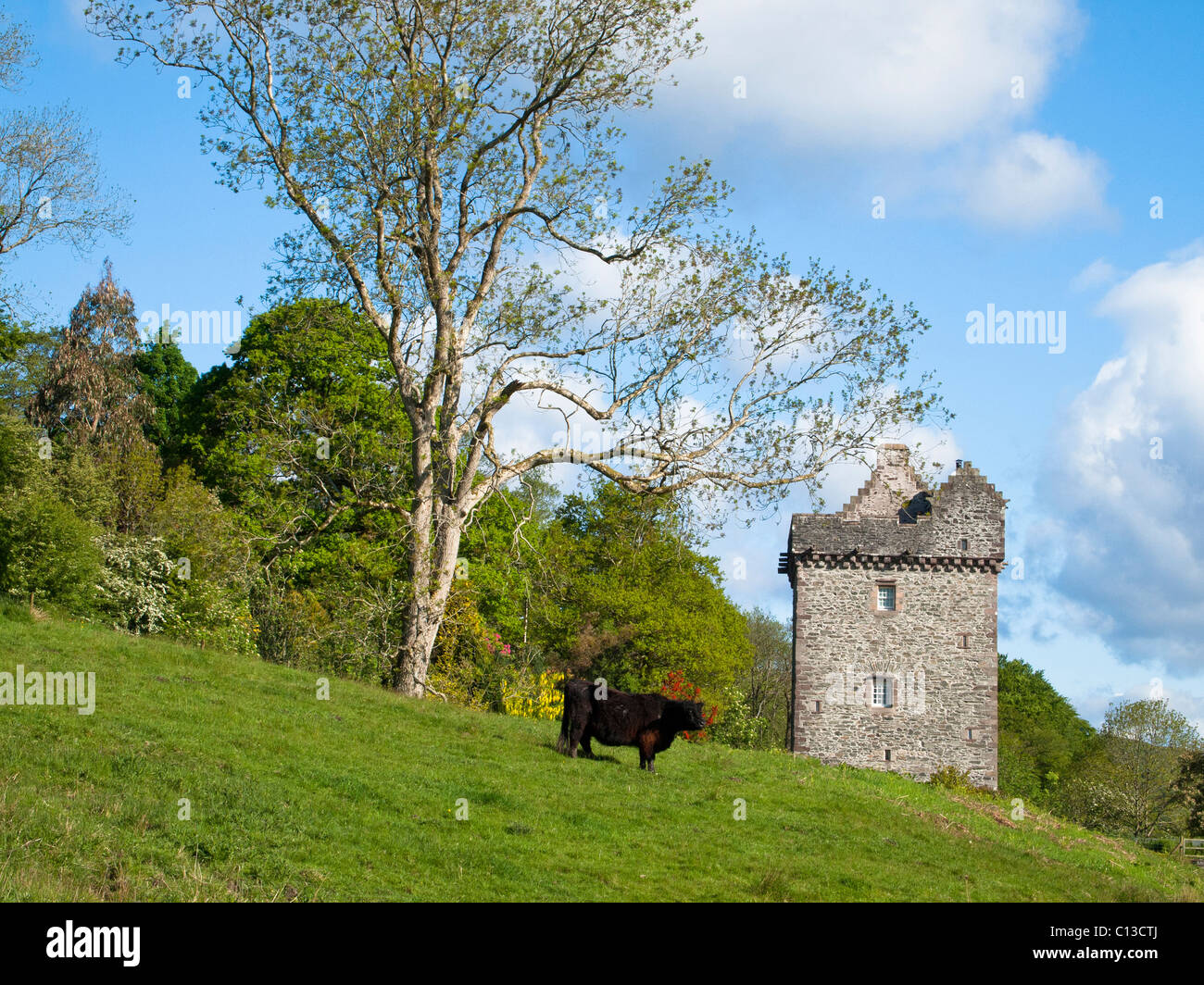 Rusko Tower High Resolution Stock Photography and Images - Alamy