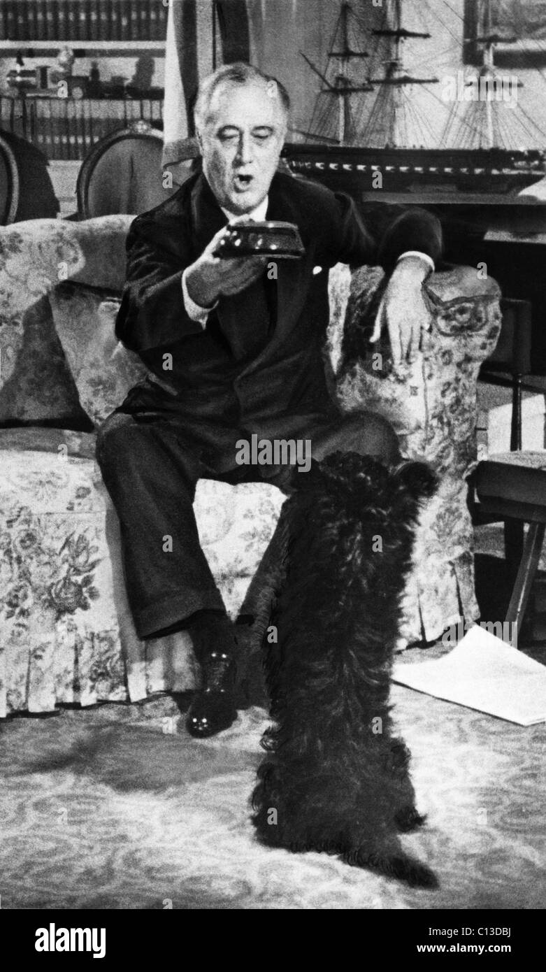 FDR Presidency. US President Franklin Delano Roosevelt training his dog ...