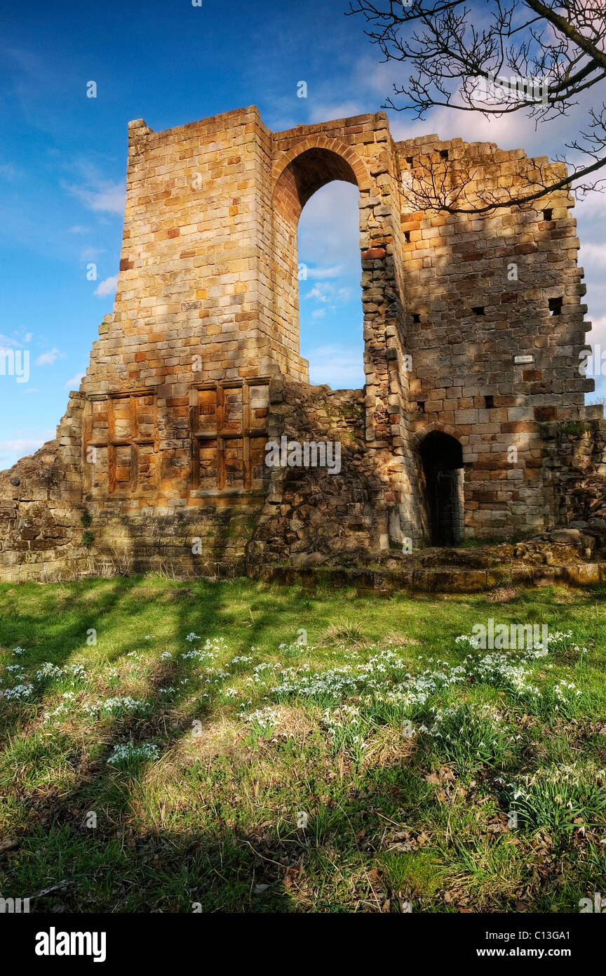 Early spring snow drops on the hill below the remains of Mulgrave ...
