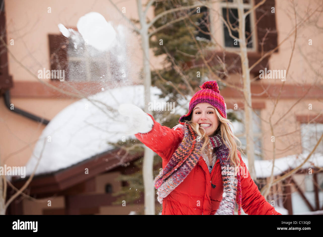 Woolly snowball hi-res stock photography and images - Alamy