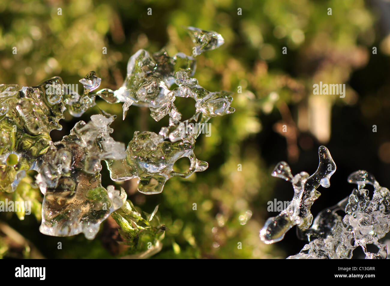 Early snow melt hi-res stock photography and images - Alamy