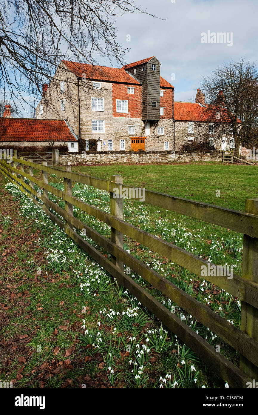Spring flowers in front of Vivers Mill, Pickering Stock Photo - Alamy