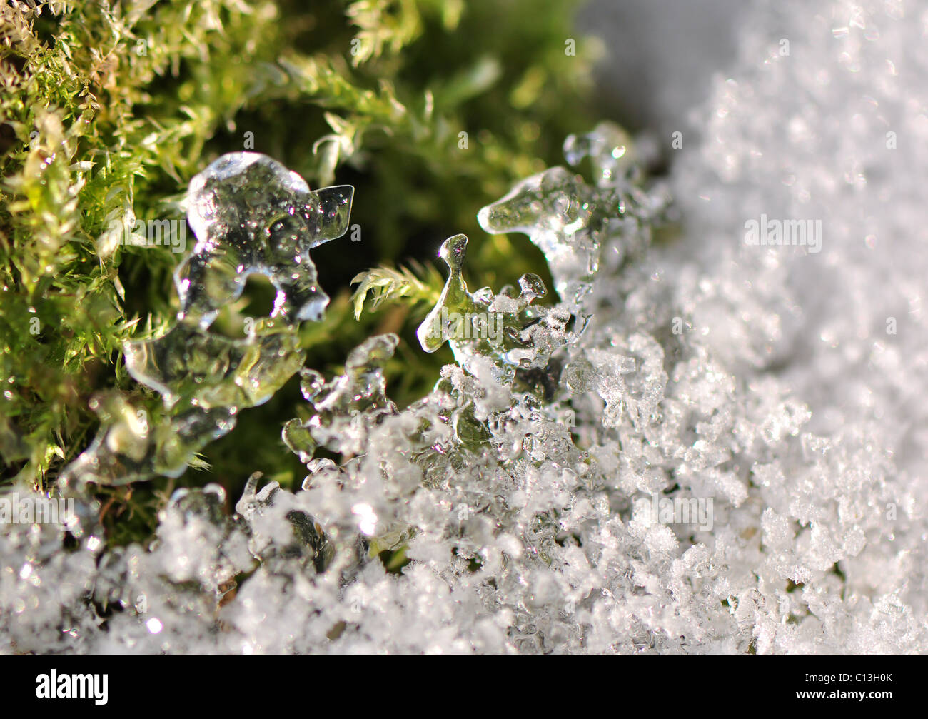 Early snow melt hi-res stock photography and images - Alamy