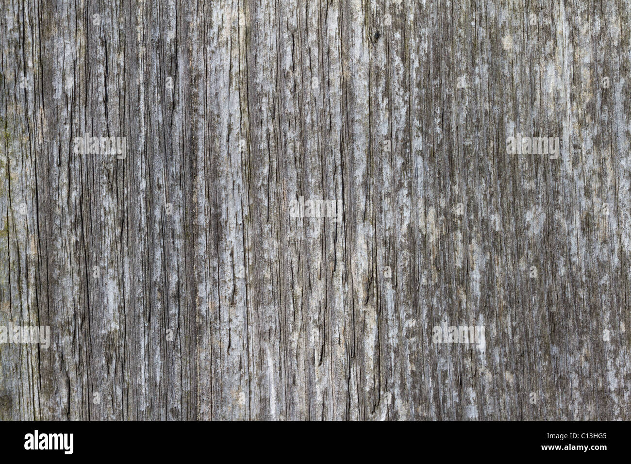 rustic Weathered Wood Texture or background image Stock Photo - Alamy