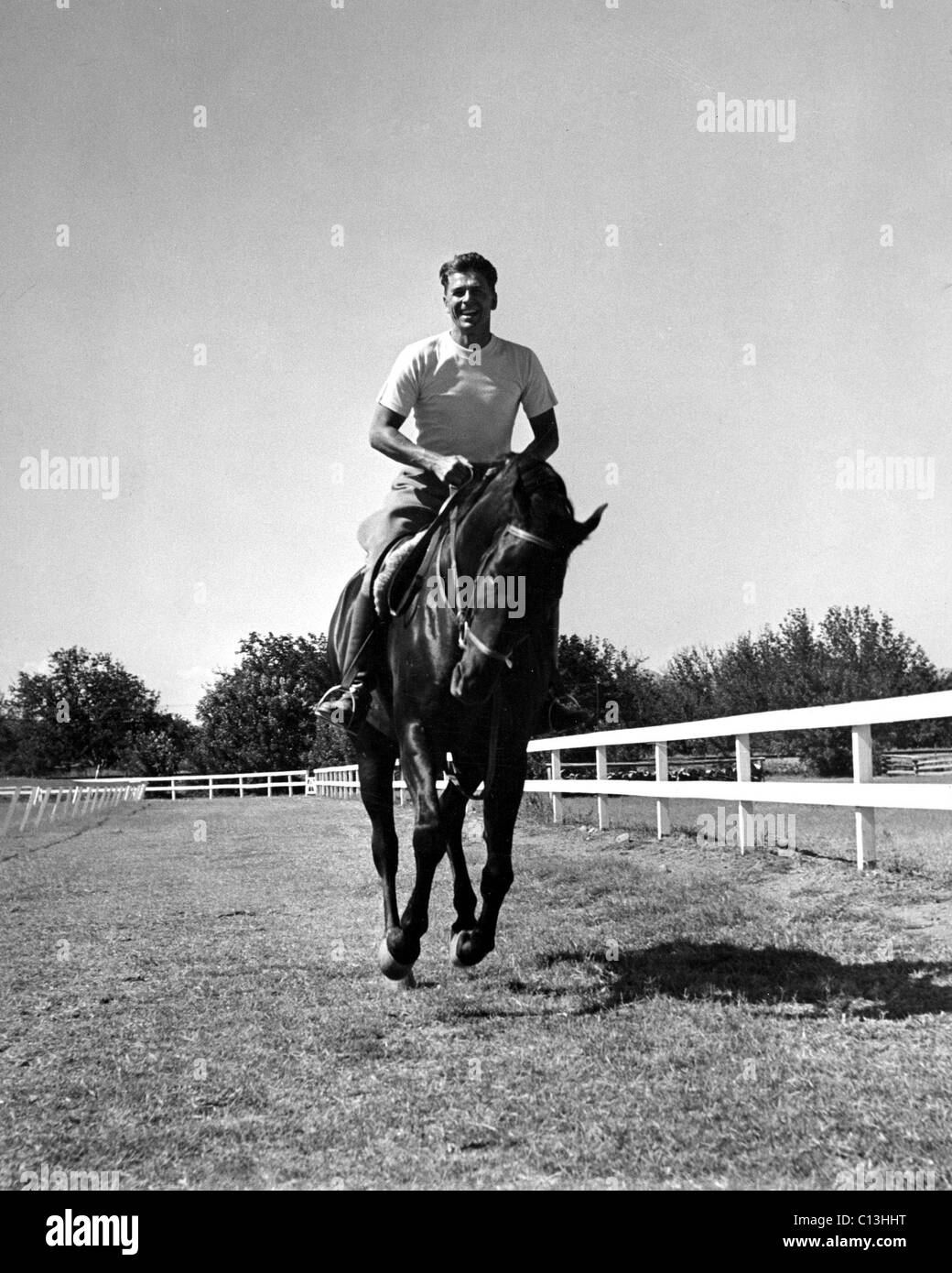 Tar baby hi-res stock photography and images - Alamy