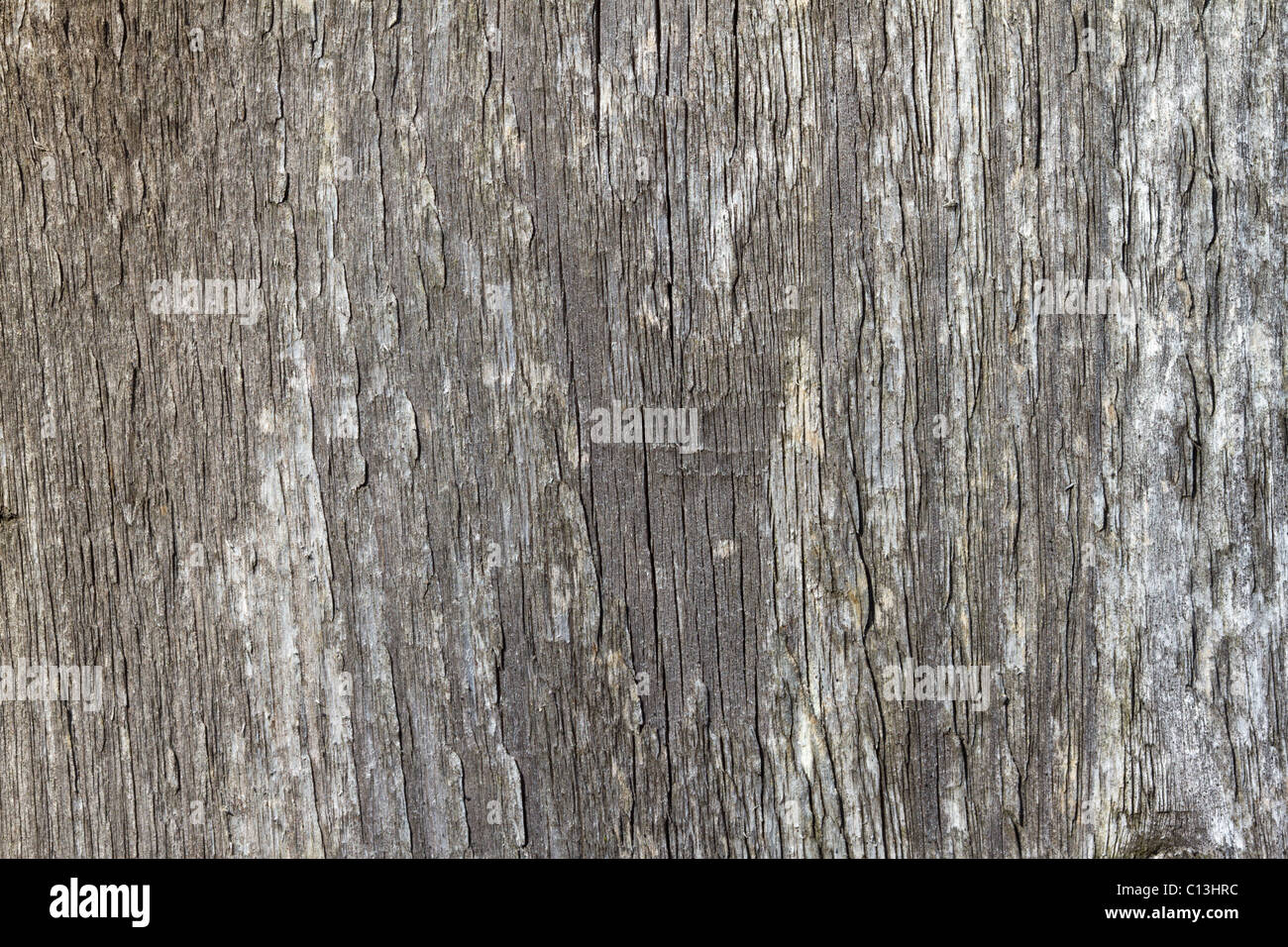 rustic Weathered Wood Texture or background image Stock Photo - Alamy