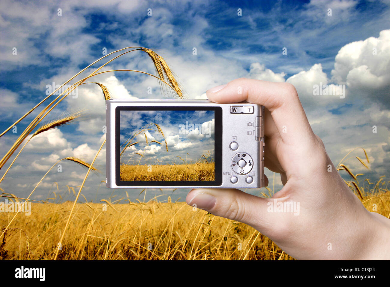 Digital landscape hi-res stock photography and images - Alamy