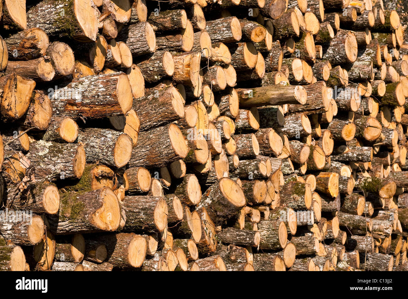 End of the log pile hi-res stock photography and images - Alamy