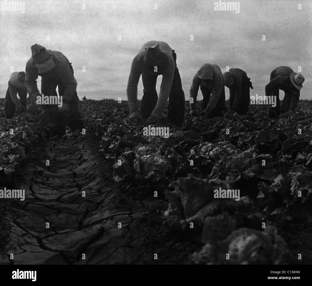 Farm workers 1930s hi-res stock photography and images - Alamy