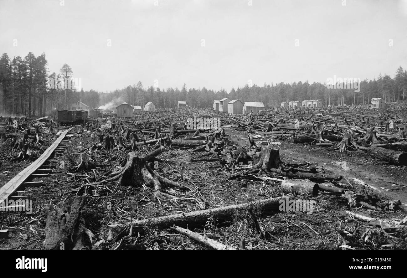 Lumber industry 19th century hi-res stock photography and images - Alamy