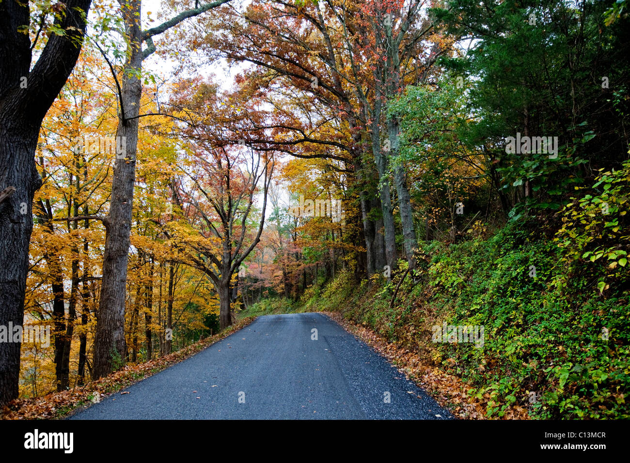 C13mcr hi-res stock photography and images - Alamy