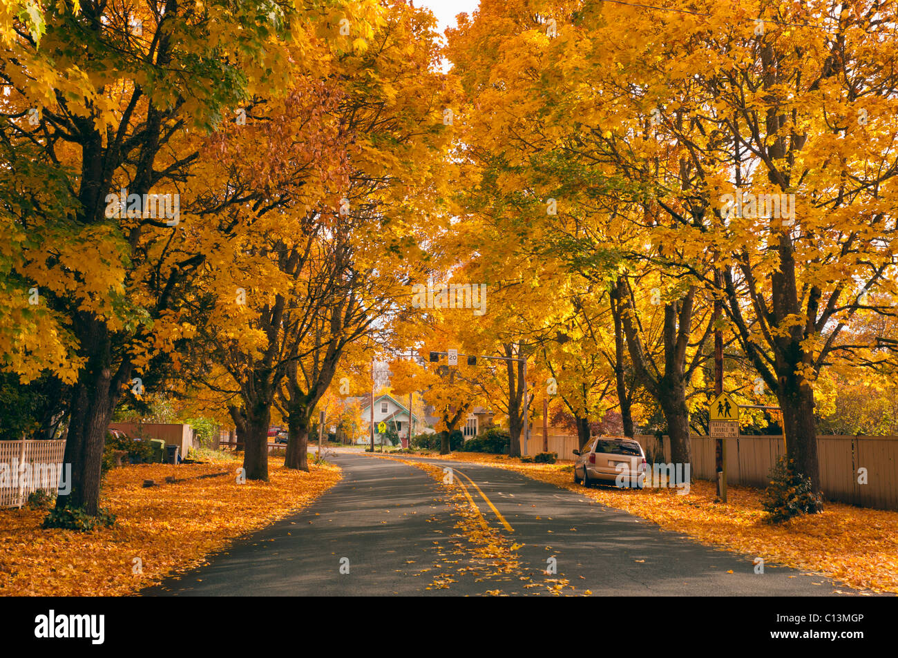 Autumn lane hi-res stock photography and images - Alamy