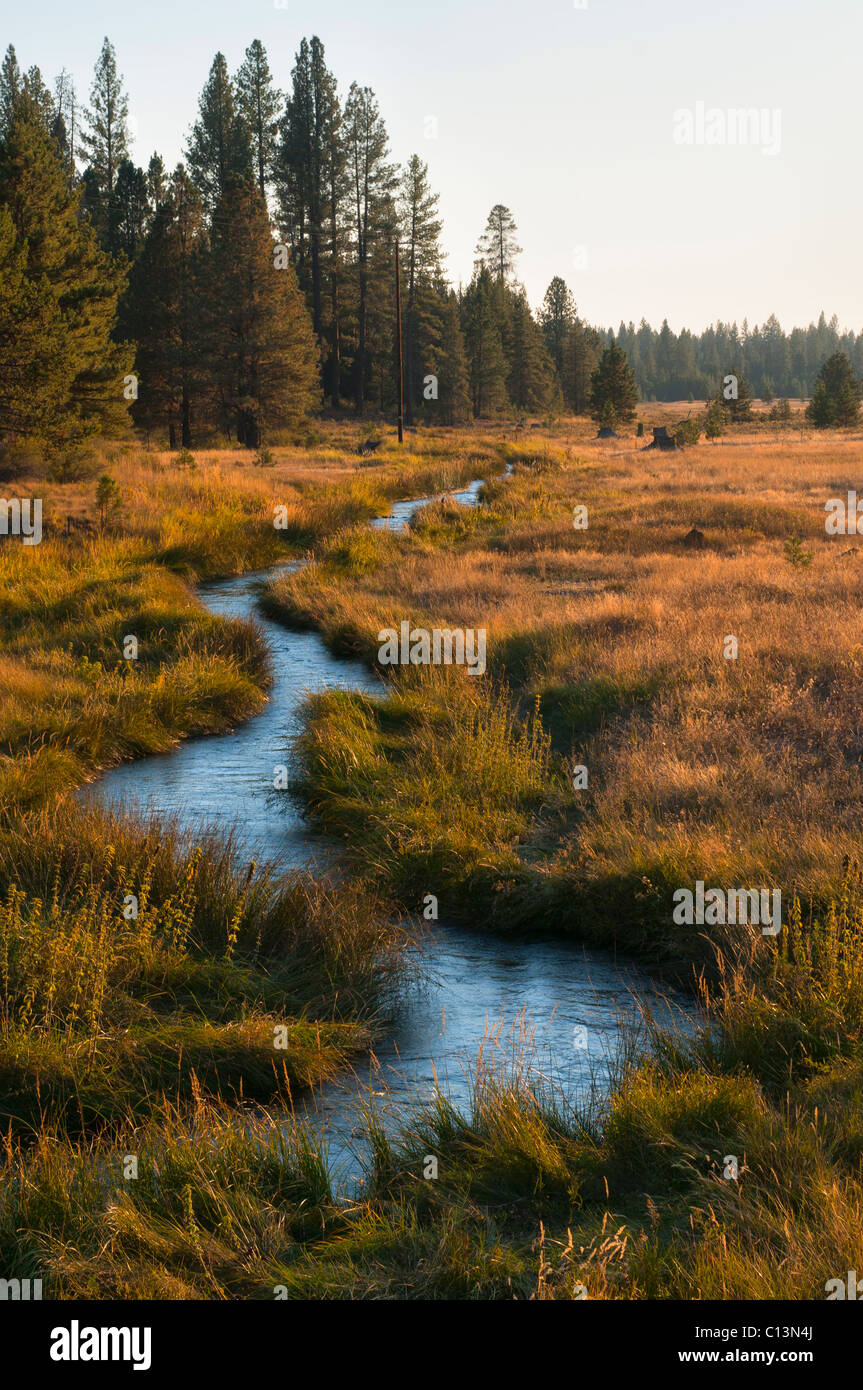 Paulina creek hi-res stock photography and images - Alamy