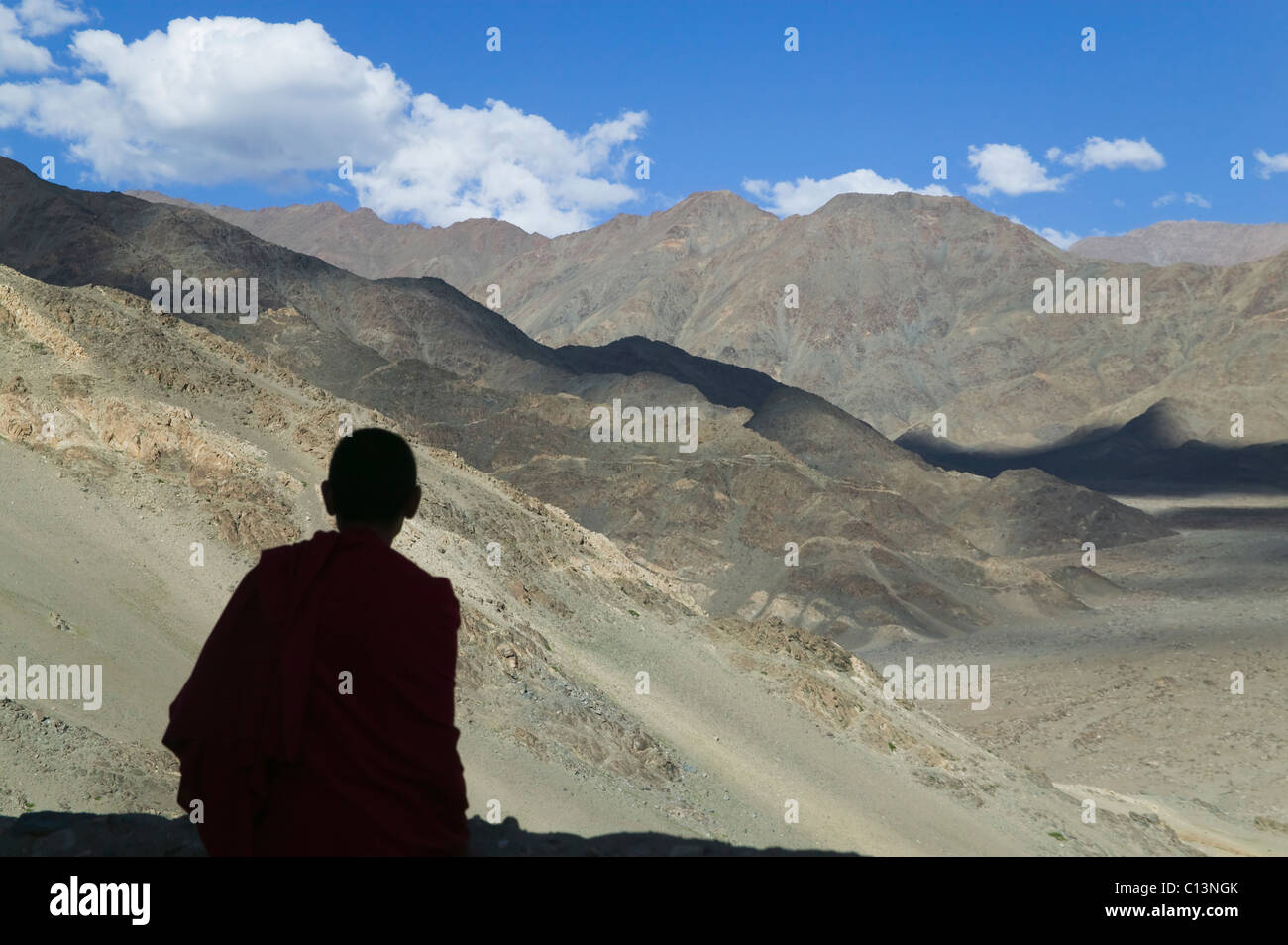 Monk in the Himalayas, Ladakh, India Stock Photo - Alamy