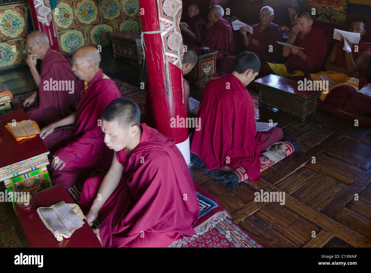 Monks studying Buddhist scriptures in the Phyang Gompa, Ladakh, India ...