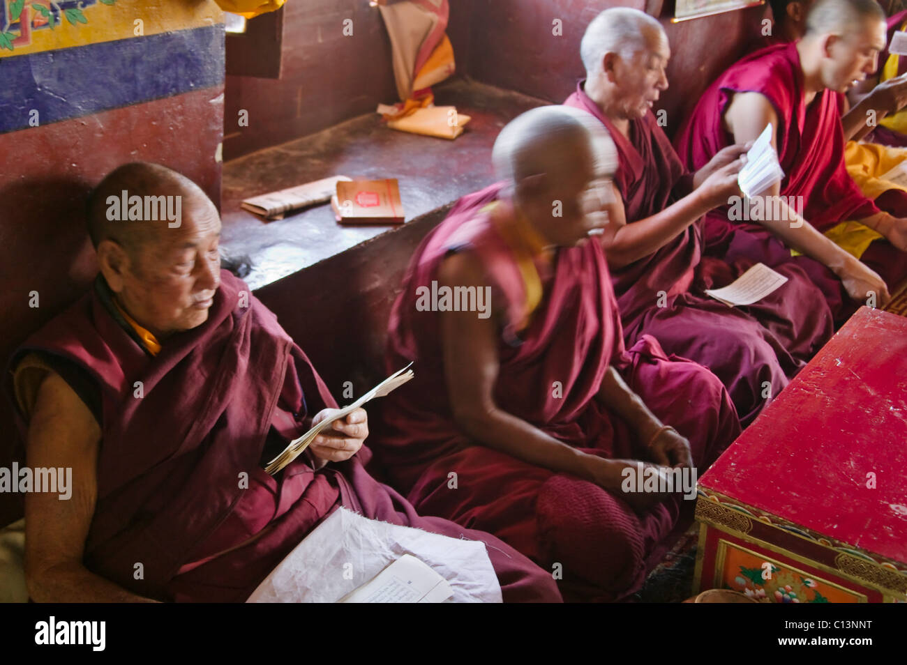 Buddhist monk reading scripture hi-res stock photography and images - Alamy