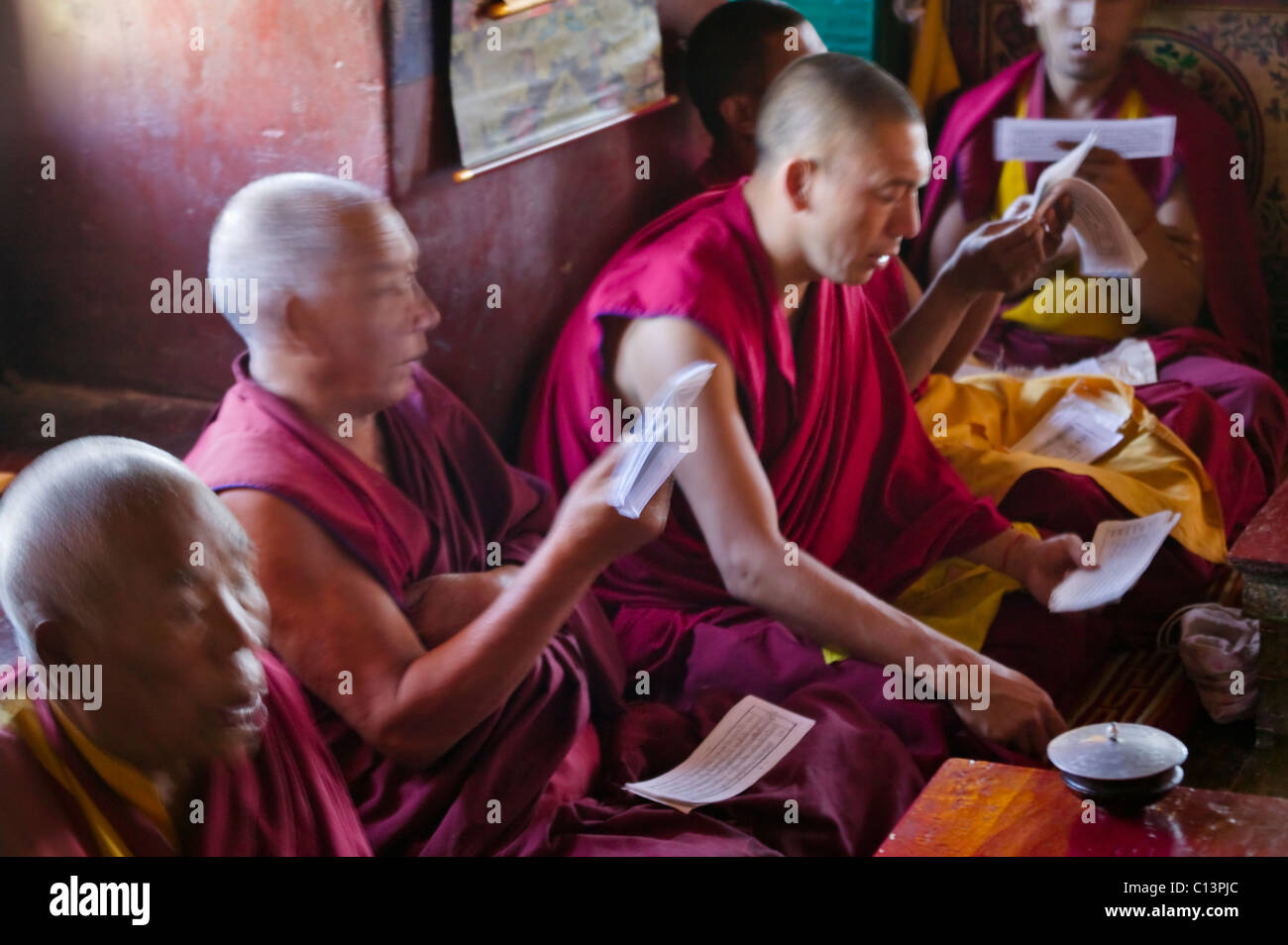Monks studying Buddhist scriptures in the Phyang Gompa, Ladakh, India ...