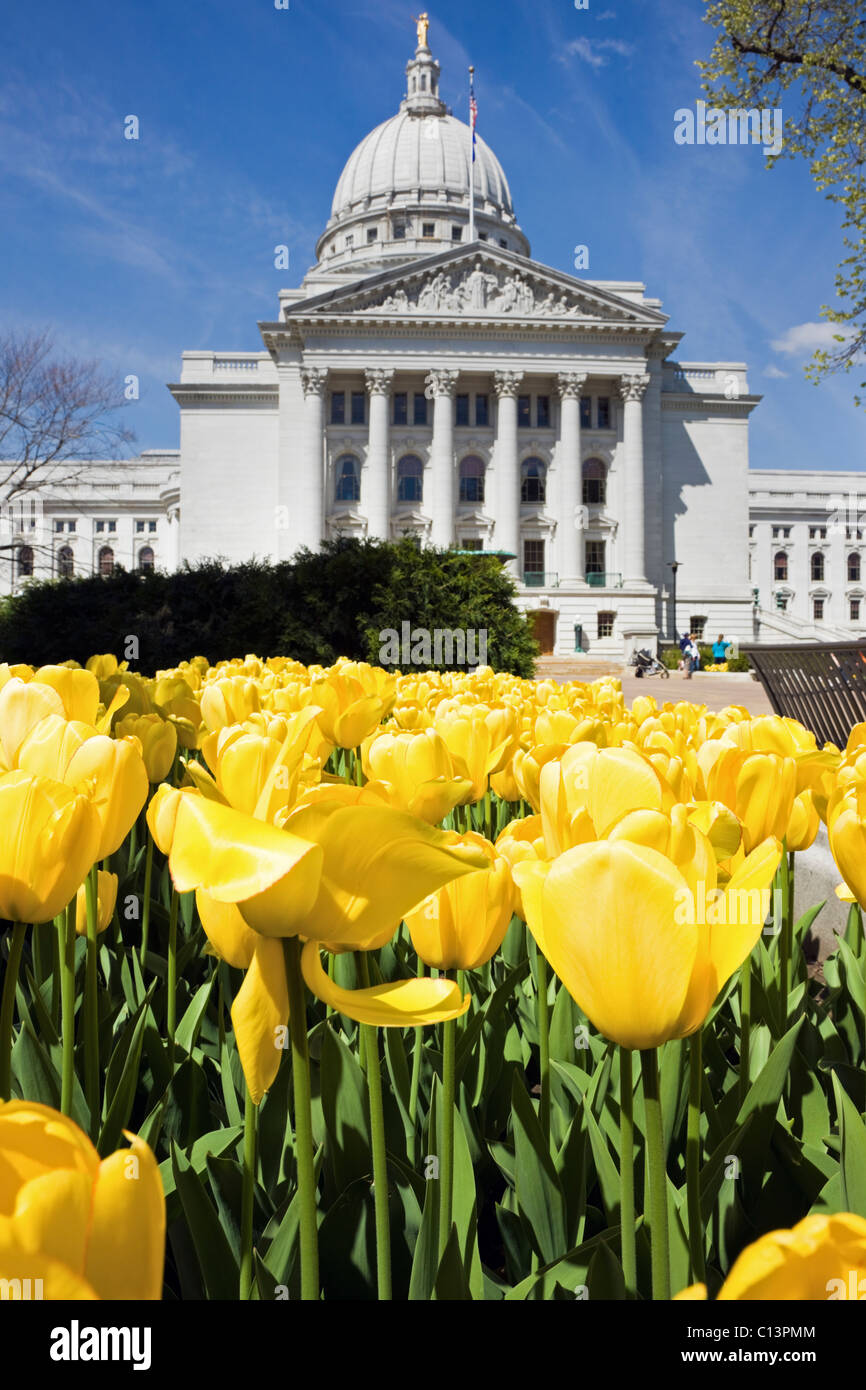 Tree state capitol flora hi-res stock photography and images - Alamy