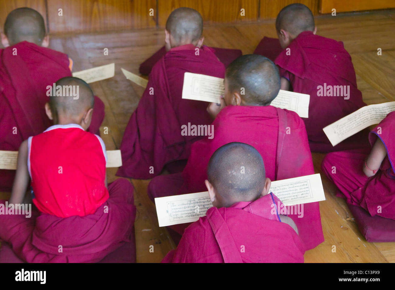 Monks studying Buddhist scriptures in the Phyang Gompa, Ladakh, India ...